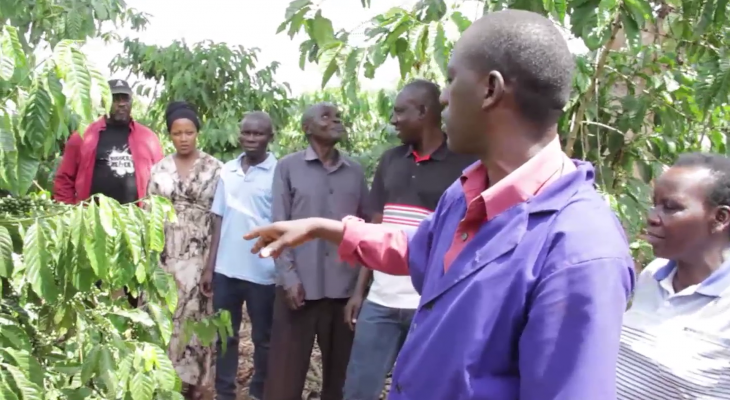 Farmers Encouraged To Join Cooperative Unions For Development